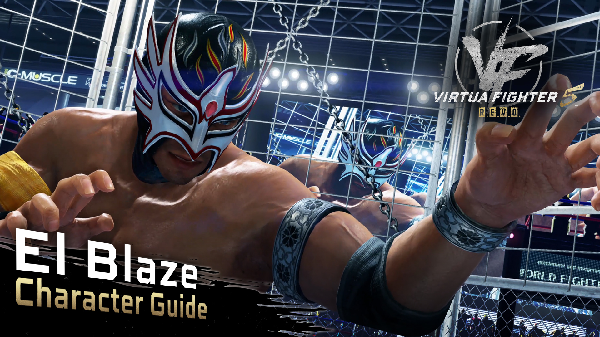 BEGINNER'S GUIDE｜Virtua Fighter Official Web Portal｜SEGA