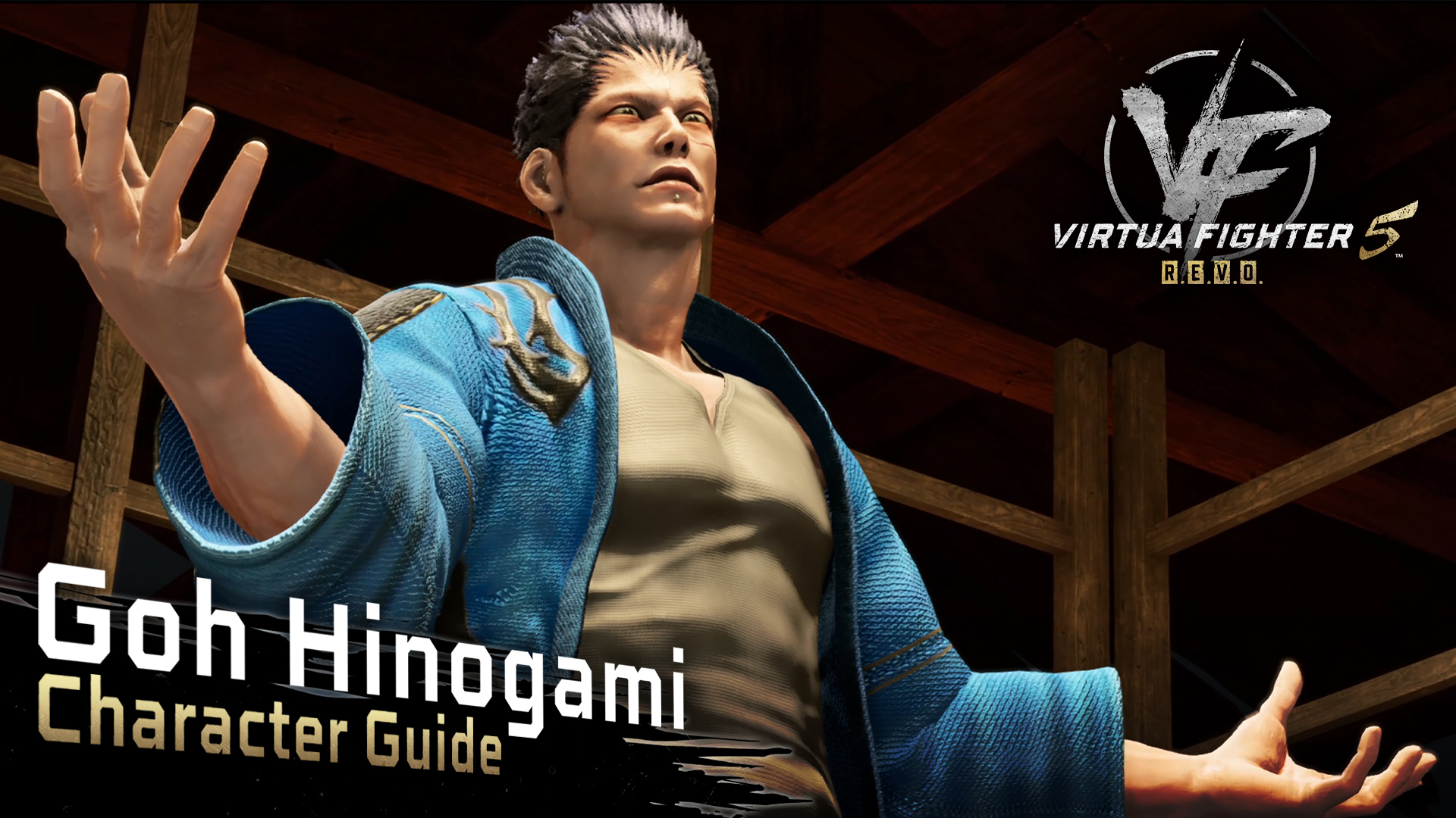 BEGINNER'S GUIDE｜Virtua Fighter Official Web Portal｜SEGA