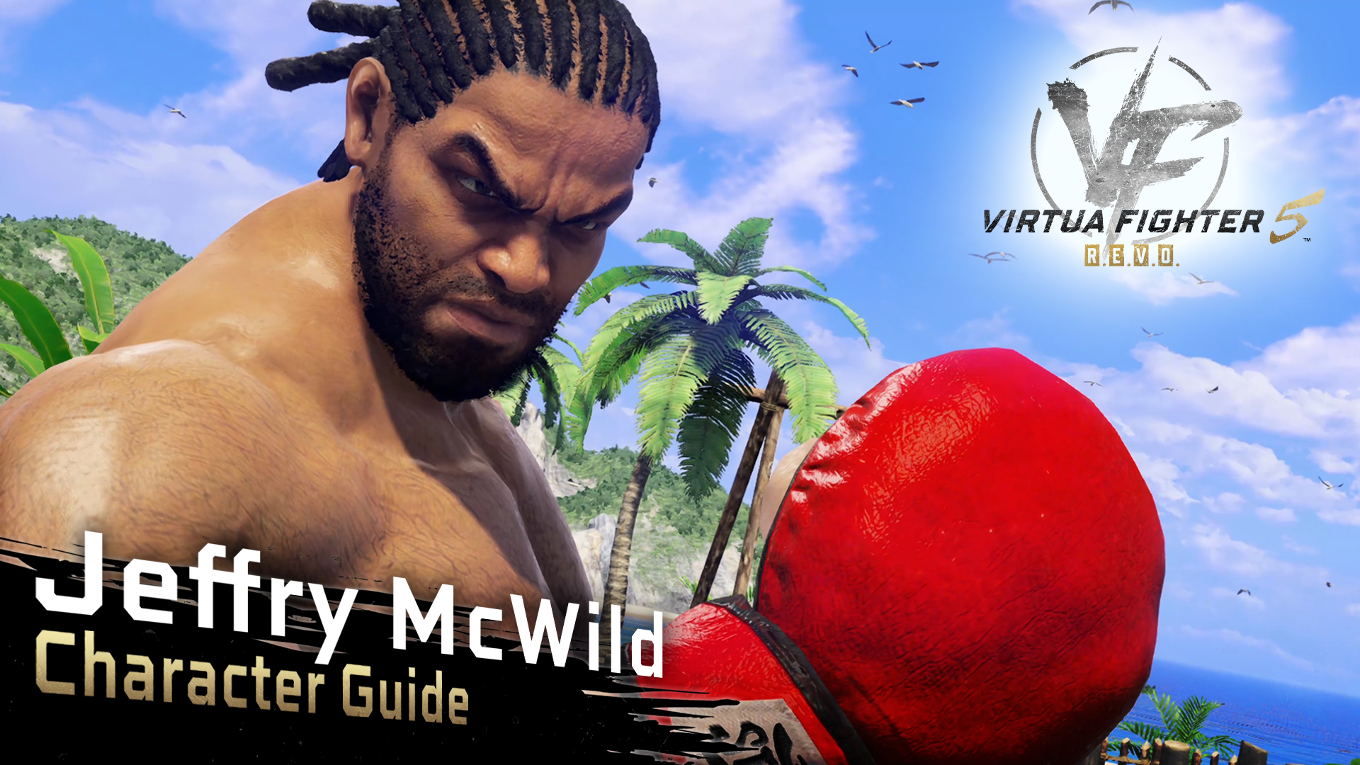 BEGINNER'S GUIDE｜Virtua Fighter Official Web Portal｜SEGA