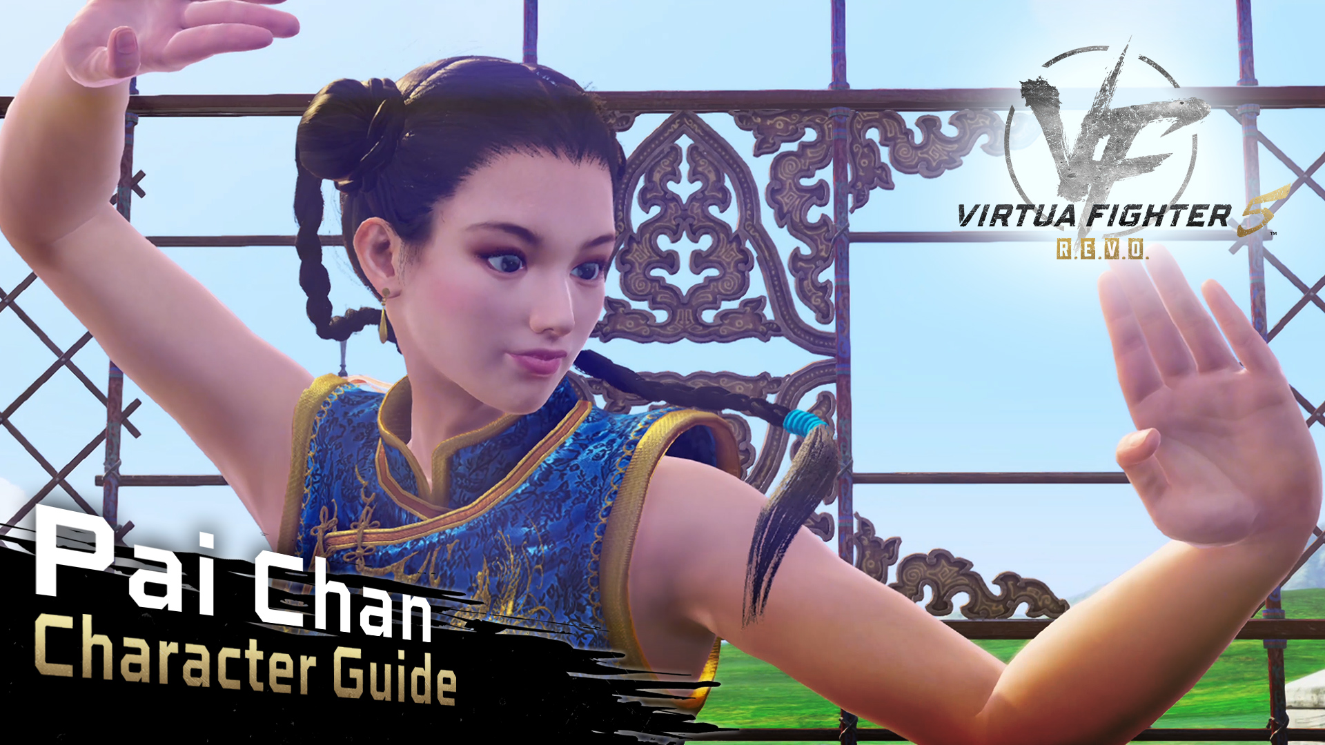 BEGINNER'S GUIDE｜Virtua Fighter Official Web Portal｜SEGA