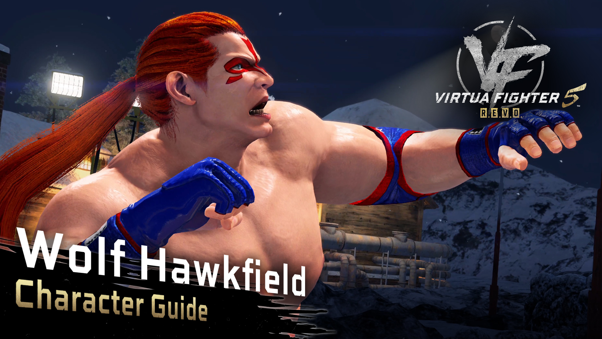 BEGINNER'S GUIDE｜Virtua Fighter Official Web Portal｜SEGA