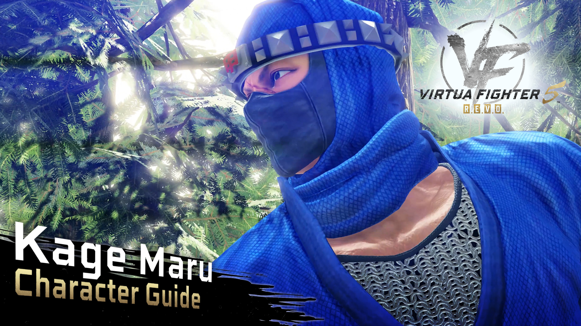 GUIDE | 《Virtua Fighter 5 R.E.V.O. World Stage》官方网站